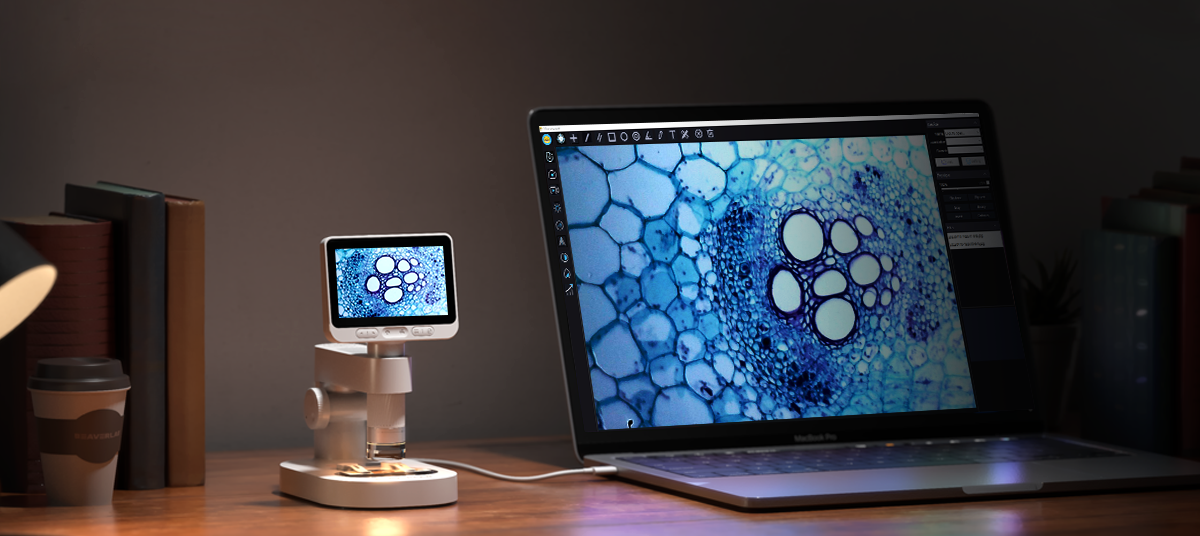 Best Digital Microscopes Collection | Beaverlab Tech – BEAVERLAB