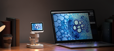 Best Digital Microscopes Collection | Beaverlab Tech – BEAVERLAB