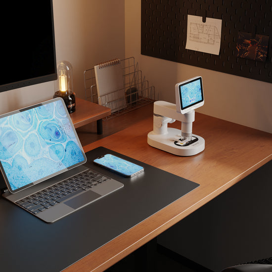 Darwin M2 Microscope - Precision Body Tube Microscope – BEAVERLAB