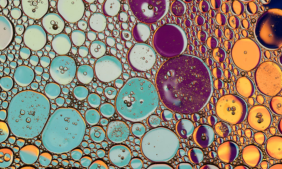 Microcosm – BEAVERLAB