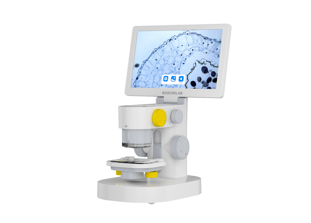 Microscope – BEAVERLAB