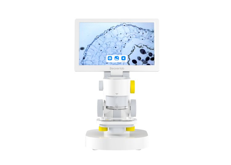 Best Digital Microscopes Collection | Beaverlab Tech – BEAVERLAB