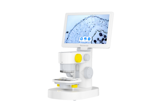 Best Digital Microscopes Collection | Beaverlab Tech – BEAVERLAB