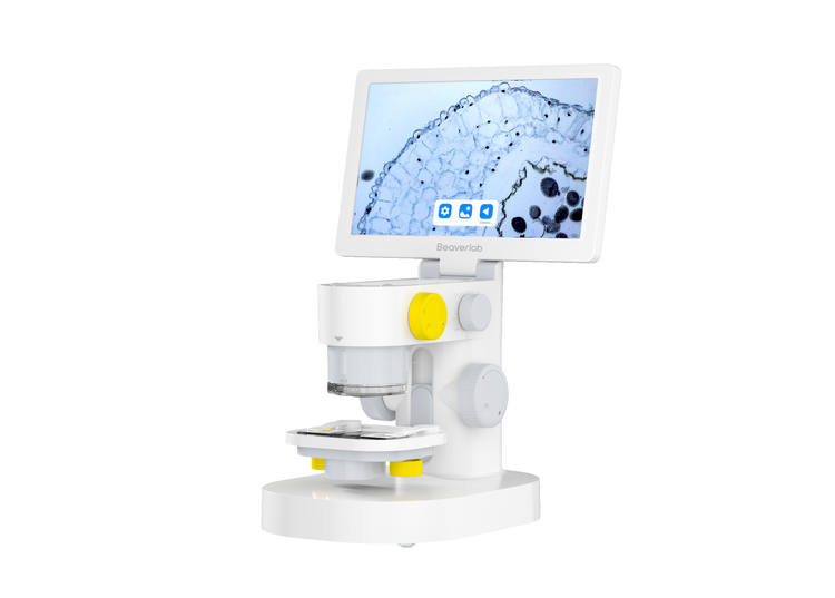 Best Digital Microscopes Collection | Beaverlab Tech – BEAVERLAB