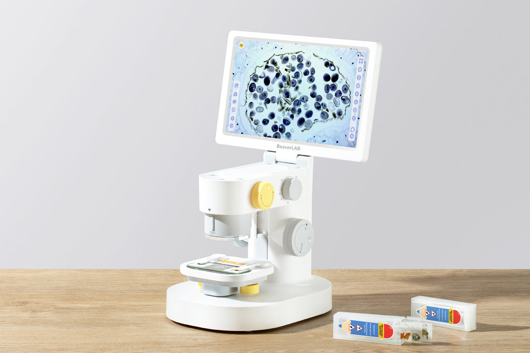 MICROSCOPE – BEAVERLAB