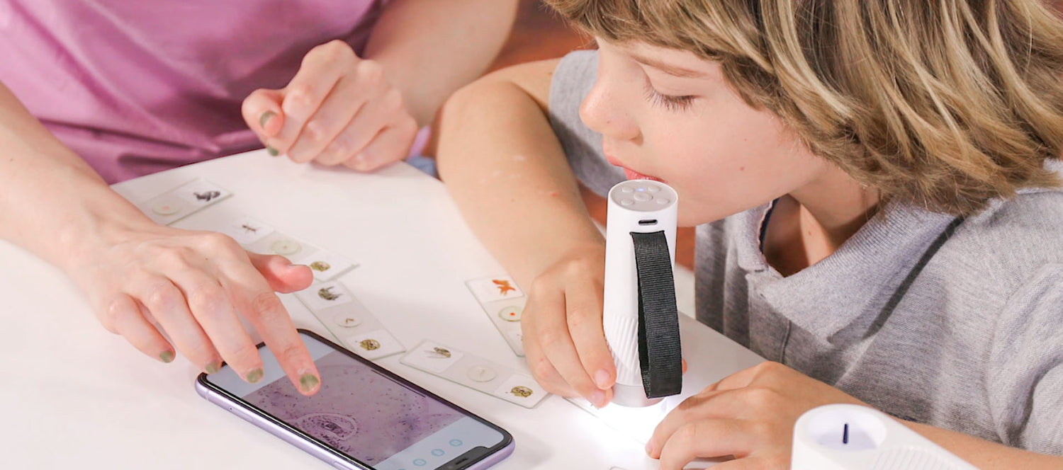 MICROSCOPE – BEAVERLAB